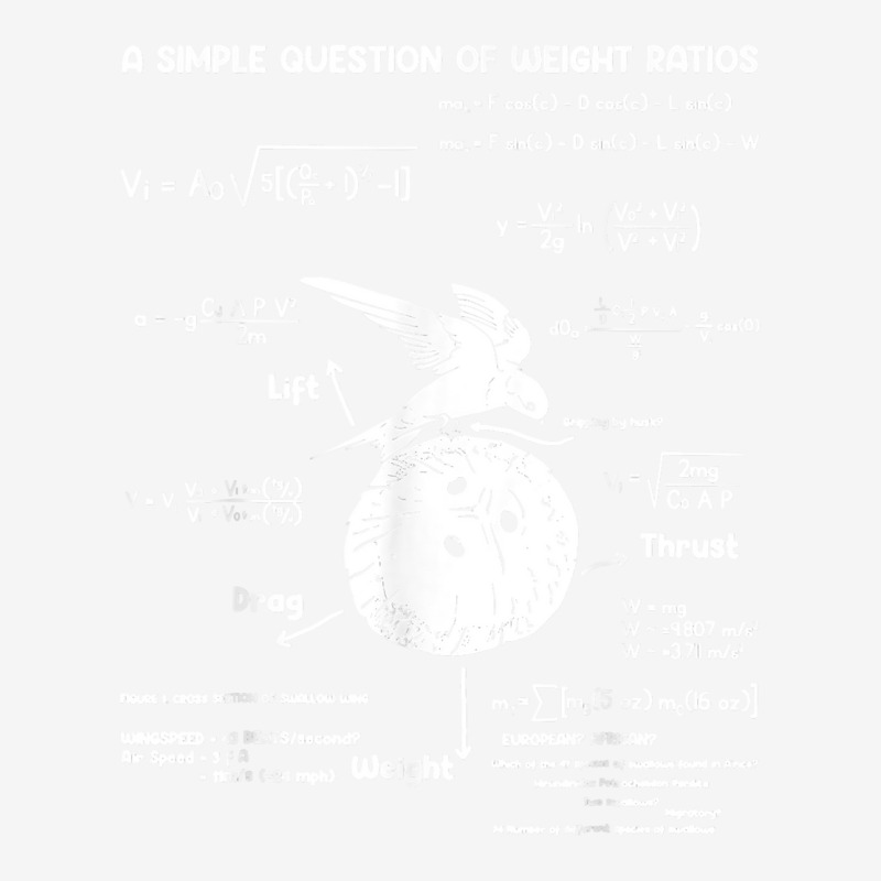 A Simple Question Of Weight Ratios Funny Math Teacher For Fans Camper ...