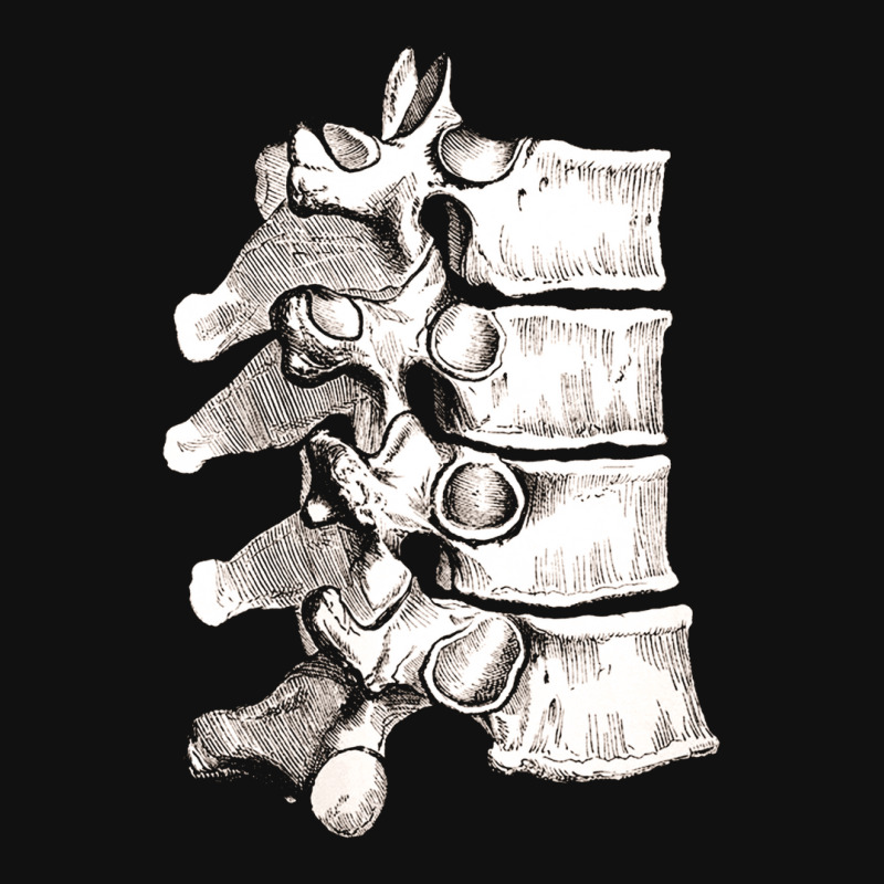 Custom Huge Skeleton Backbone, Huge, Skeleton, Backbone, Huge Skeleton ...