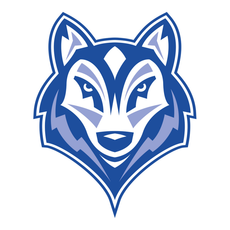 Un1ver5ity Of S0uthern Main3 Huski3s Women's V-neck T-shirt By ...