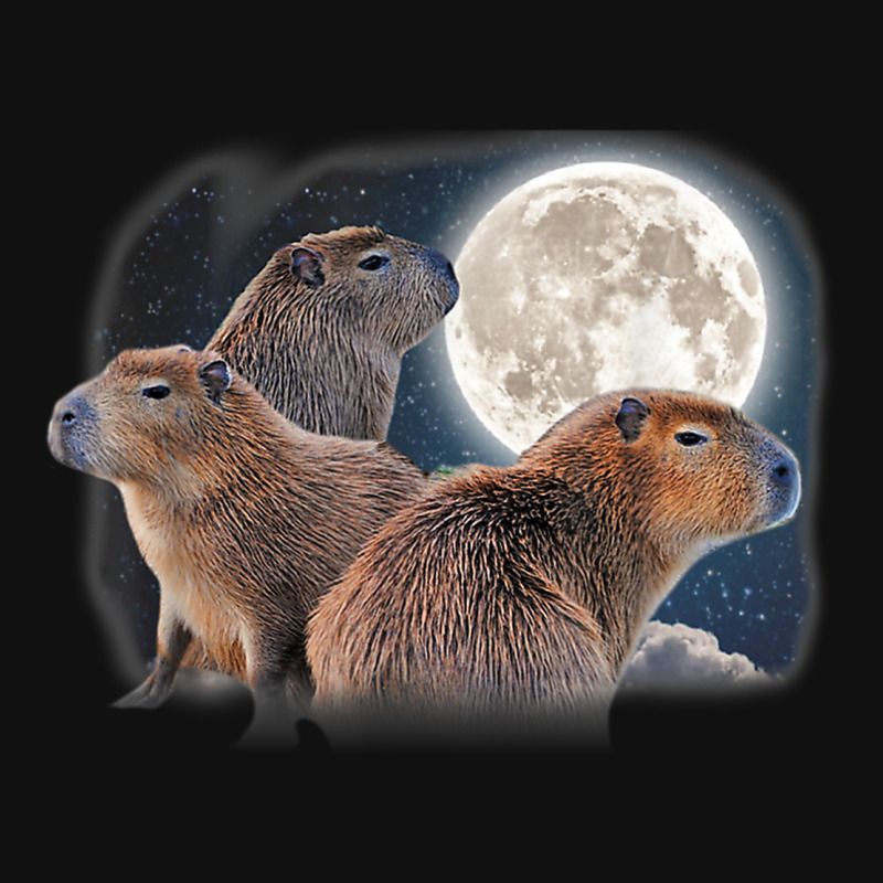 Three Capybaras And Moon Funny Capybara Humor Parody License Plate ...