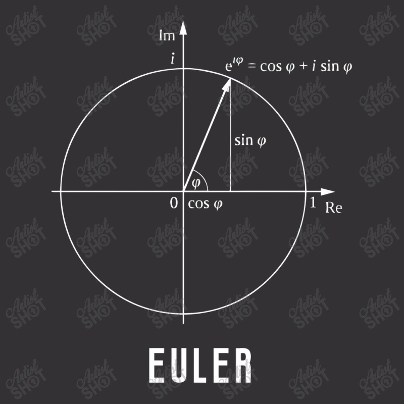 Maths And Science Eulers Formula Trigonometry Vintage Hoodie And Short