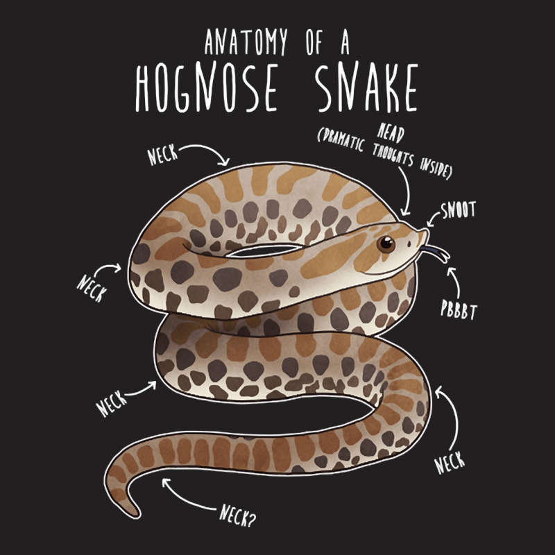 Custom Anatomy Of A Hognose Snake, Anatomy Of A Hognose Snake Art ...