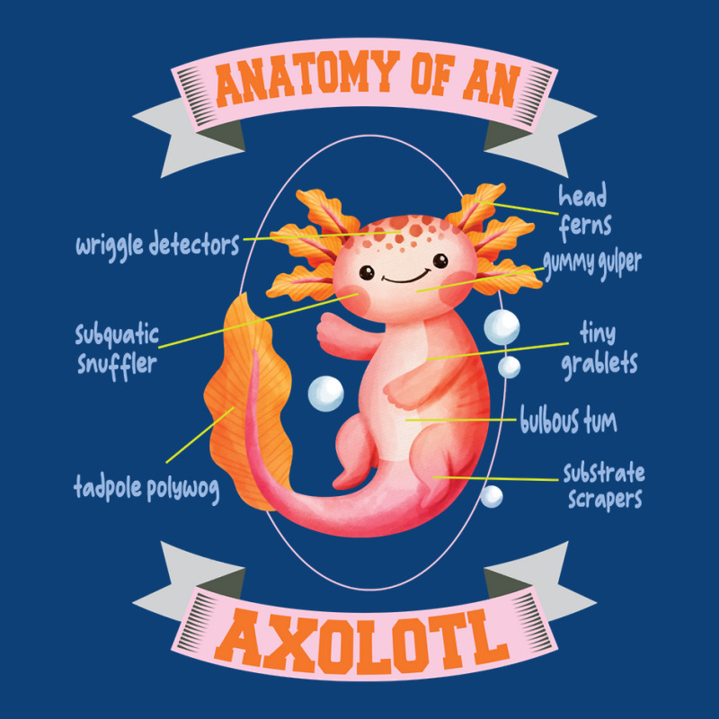 Anatomy Of An Axolotl Cute Axolotl Anatomy Teachers Gift Zsm7e Bucket ...