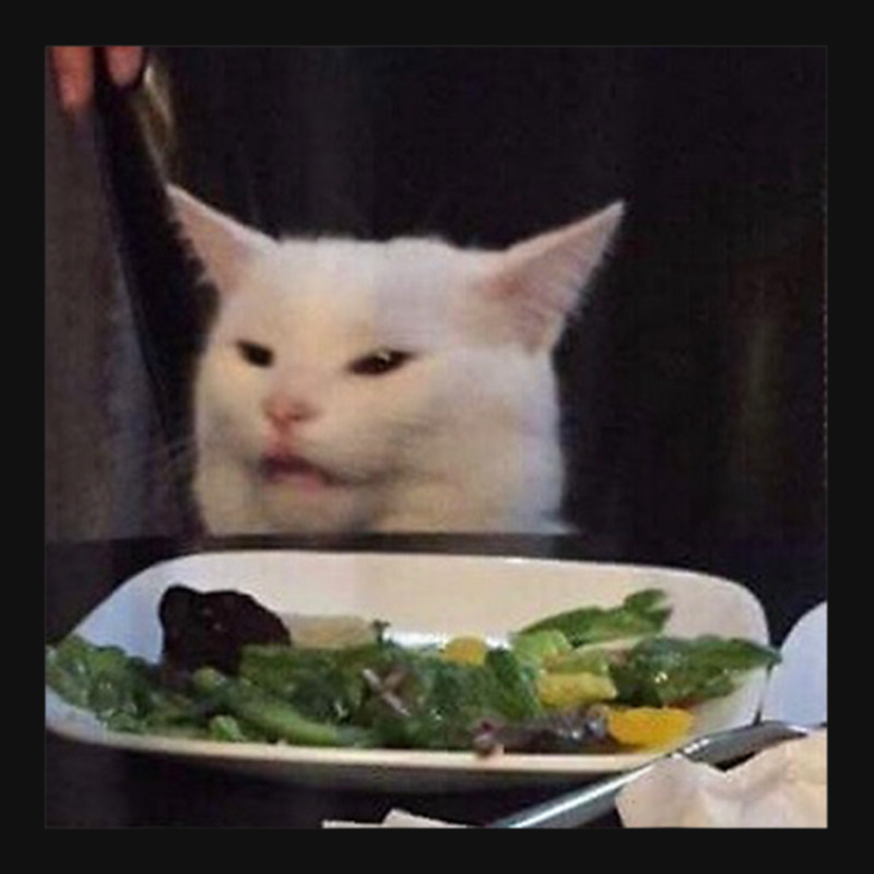 Bingus Cat Meme Bingus Cat Meme Bingus Cat Meme Iphone 13 Pro Max Case ...