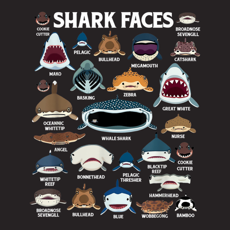 Types Of Sharks Faces Identification Birthday School Kid Men Vintage ...