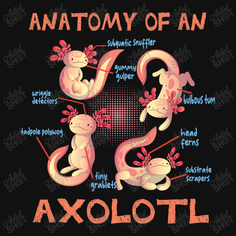Anatomy Of An Axolotl Cute Axolotl Anatomy Teachers Gift Pin-back ...