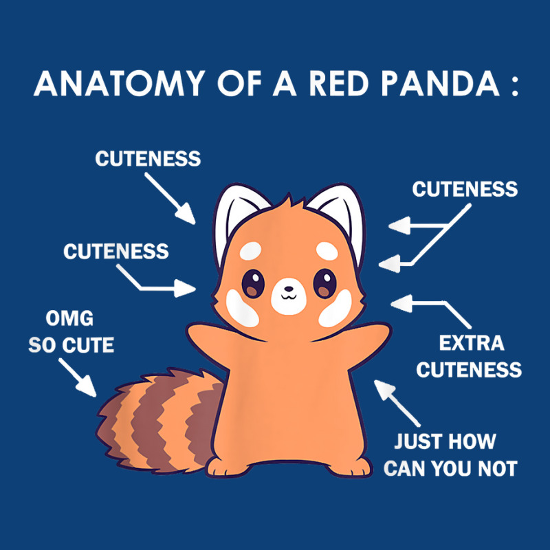 Anatomy Of A Red Panda Science Zoologist Red Panda Anatomy Bucket Hat ...