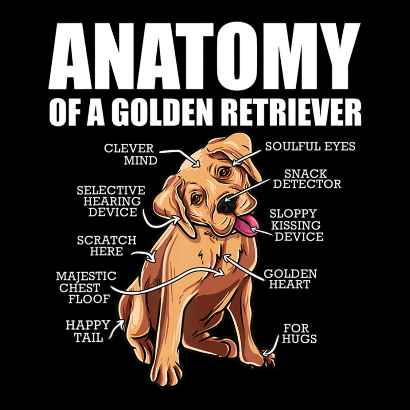 Anatomy Of A Golden Retriever Goldie Labrador Doglover Round Patch By ...