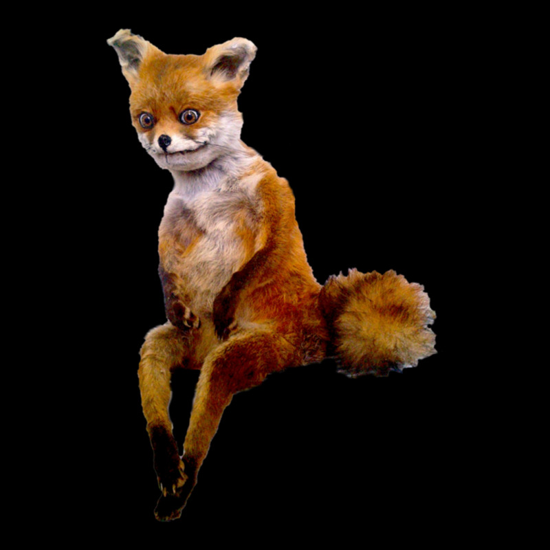 Fox Taxidermy Memes Almost Finished With The Fox Rug! , Dm If