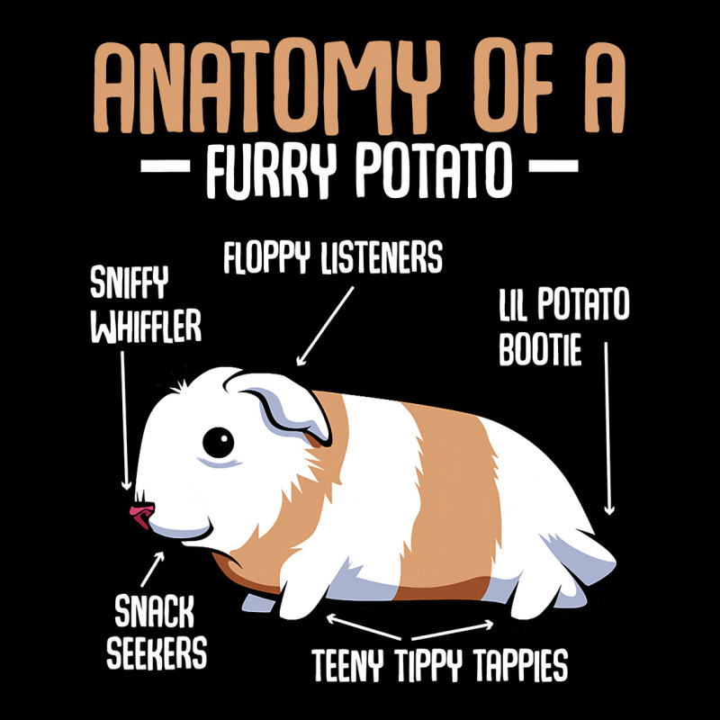 Custom Anatomy Of A Furry Potato Guinea Pig Household Pet Animal Atv ...