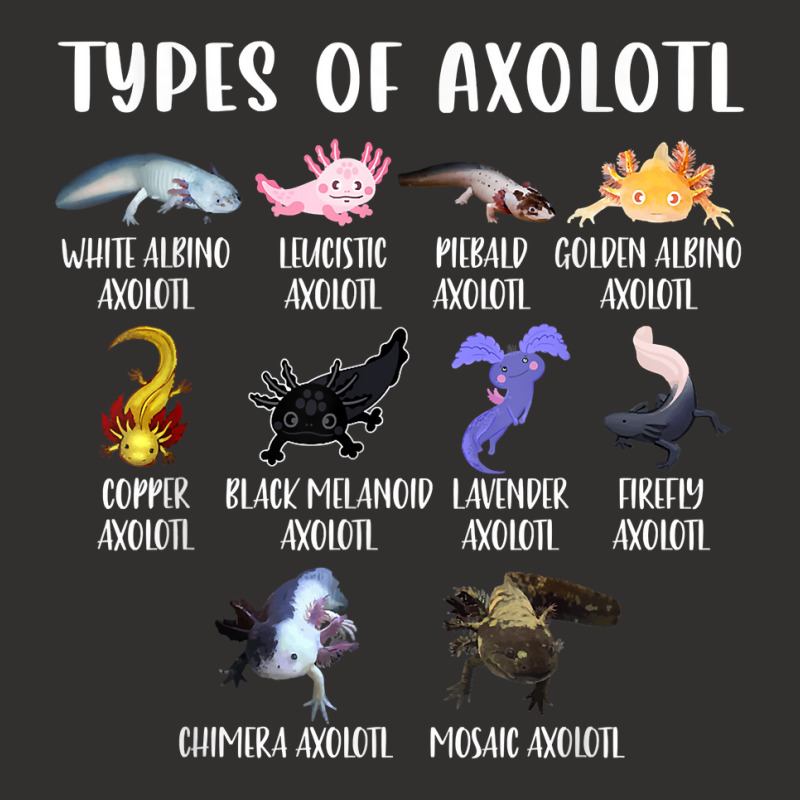 Custom Types Of Axolotl Shirt Cute Different Species Of A Champion ...