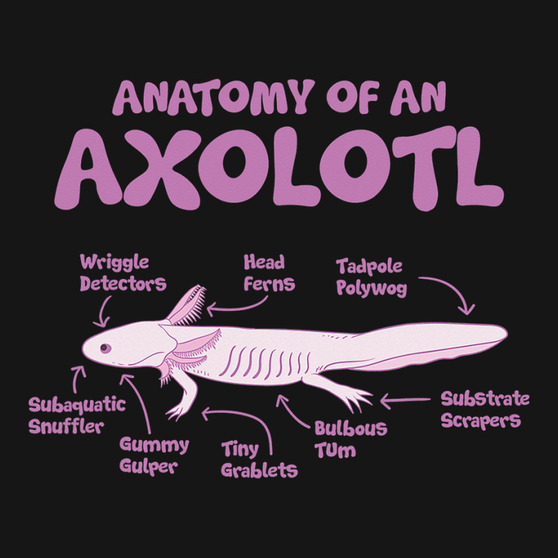 Anatomy Of An Axolotl Axolotls Biology Diagram Active Duffel By ...
