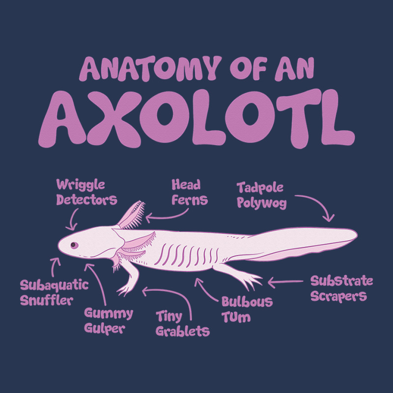 Anatomy Of An Axolotl Axolotls Biology Diagram Men Denim Jacket By ...