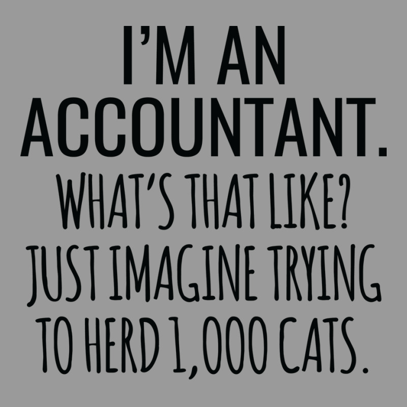 Custom Im An Accountant Whats That Like Just Imagine Tryi Atv License ...