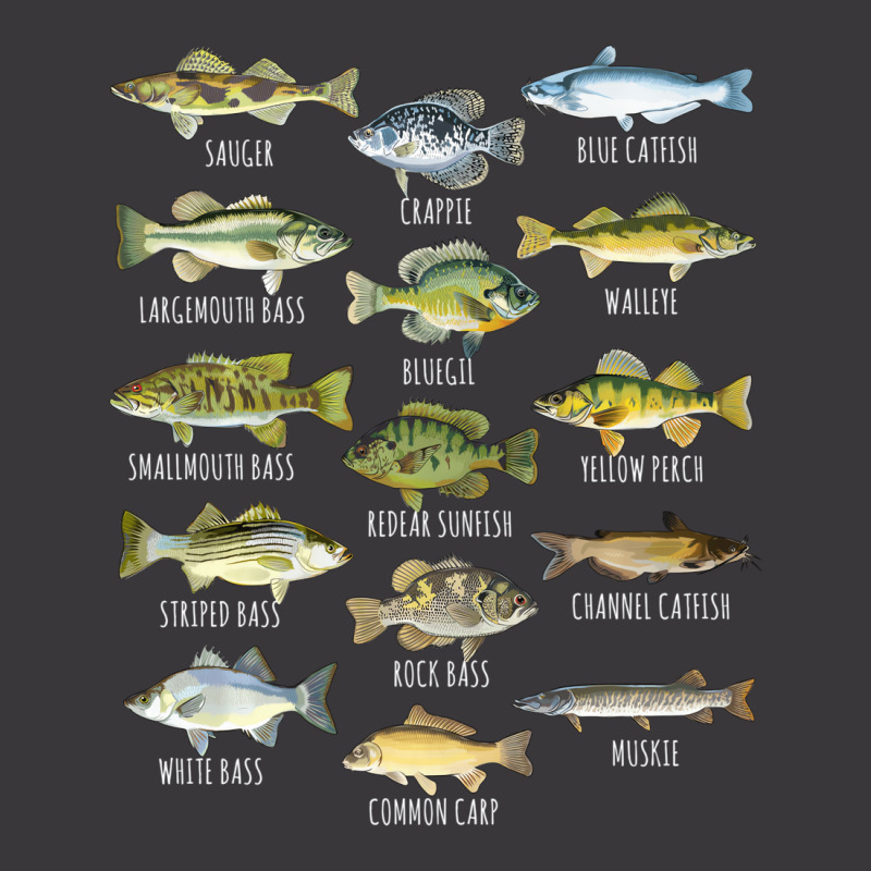 Fish Species Biology Types Of Freshwater Fish Fish Ladies Curvy T-shirt ...