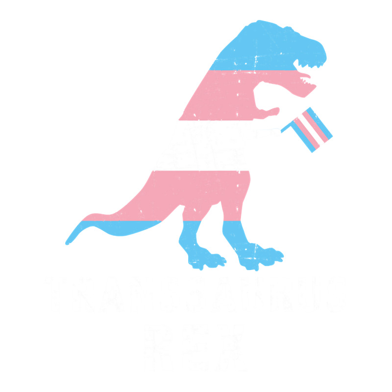 Transsaurus Rex Dinosaur In Transgender Flag For Trans Pride Pullover ...