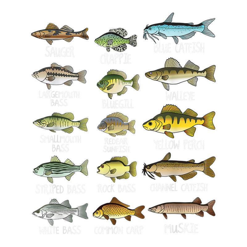 Types Of Freshwater Fish Species Biology Fishing Cub Paper Bag - 8 X 4 ...