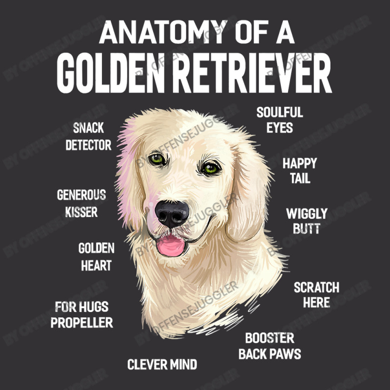 Golden Retriever Goldie Dog 365 Anatomy Of A Golden Retriever Dog Funn Vintage Hoodie And Short ...