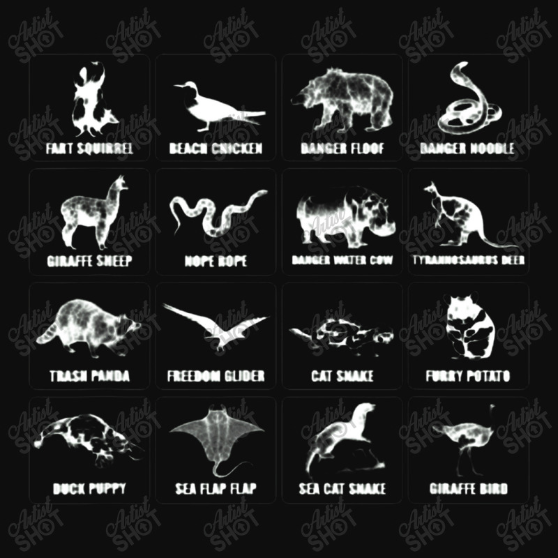 Internet Meme Animals Funny Animal Names Of The World Crop Top By ...