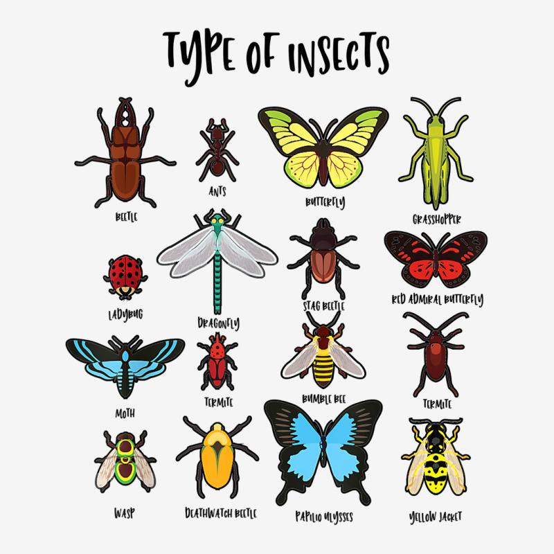 Types Of Insects Study Of Biology Science Bug Identification T Shirt ...