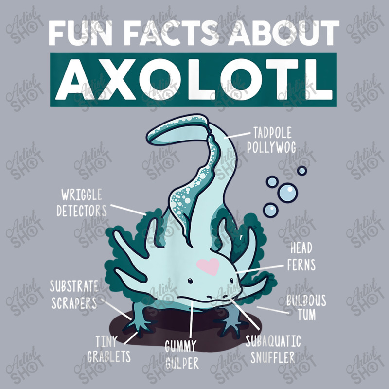 Custom Axolotl Cute Axolotl Fun Facts About Axolotl Ambystoma Mexicanum ...