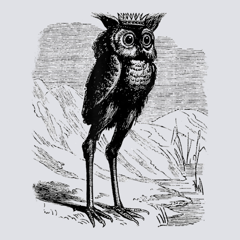 Stolas Prince Of Hell Ars Goetia Demon Lesser Key Occult Owl T Shirt ...