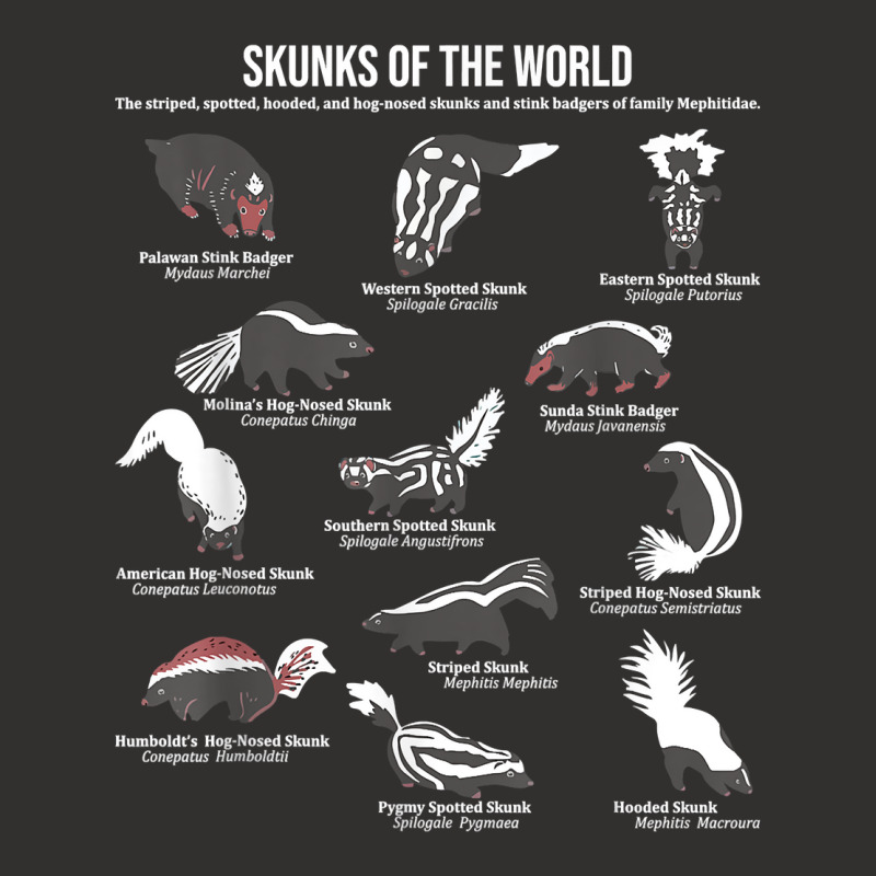 Skunks Of The World Skunk Lover Zookeeper Zoologist T Shirt Champion ...