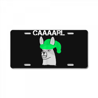 Funny Llama With Hats Lama With Hat Carl What Did You Do New Year ...