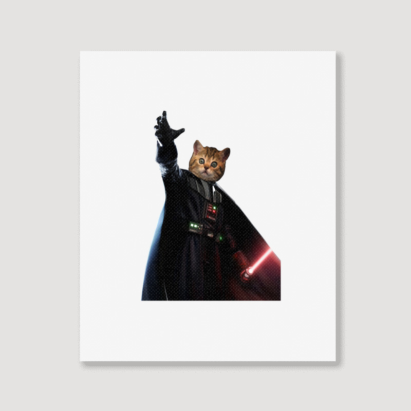 Darth Vader Cat