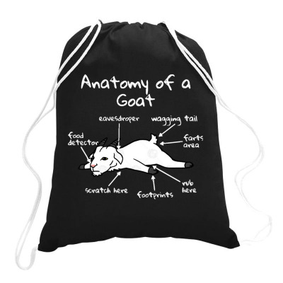 Anatomy Of A Goat, Anatomy Of A Goat Art, Anatomy Of A Goat Vintage, A ...