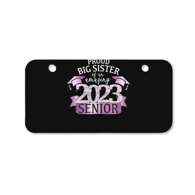 Womens Proud Big Sister I 2023 Senior Purple School Color Outfit ...