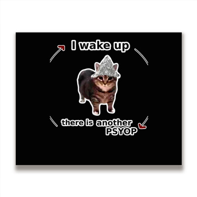 Tin Foil Hat Cat I Wake Up There Is Another Psyop Meme T Shirt Metal ...