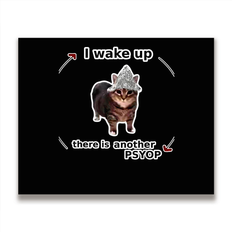 Tin Foil Hat Cat I Wake Up There Is Another Psyop Meme T Shirt Metal ...