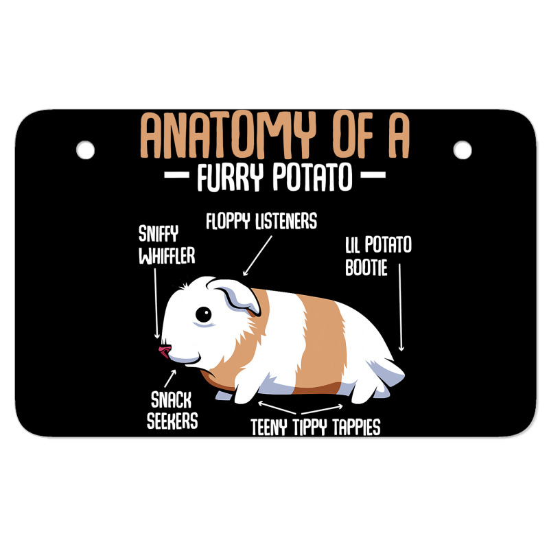 Custom Anatomy Of A Furry Potato Guinea Pig Household Pet Animal Atv ...