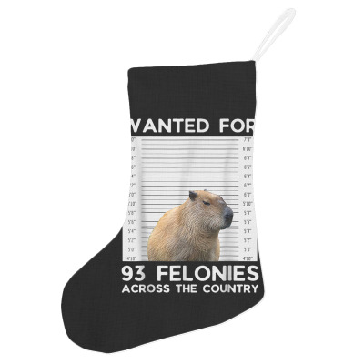 Capybara Mugshot Wanted For 93 Felonies Across The Holiday Stocking By ...