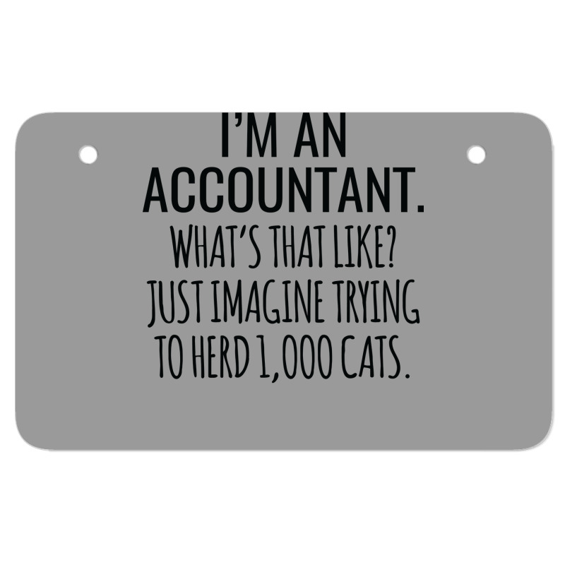 Custom Im An Accountant Whats That Like Just Imagine Tryi Atv License ...