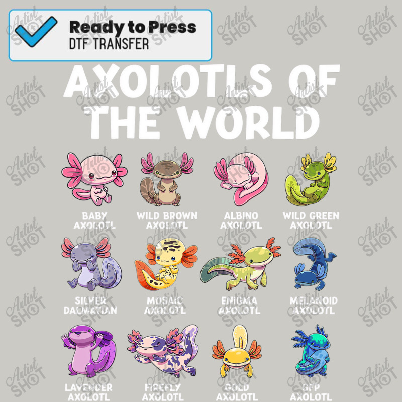 Axolotls Of The World Kawaii Types Of Axolotl Fish Dtf Transfer By ...