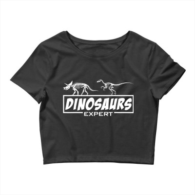 Custom Dinosaur Trex Tyrannosaurus Funny Dino Dinosaurs E Crop Top By ...