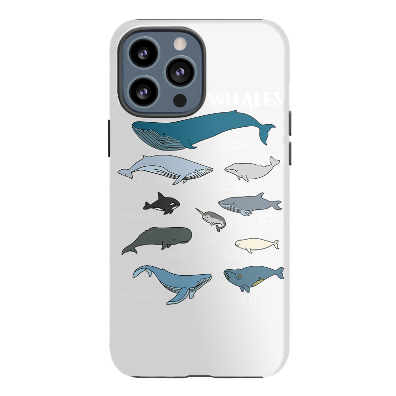 Types Of Whales Cute Ocean Mammals Guide T Shirt Iphone 13 Pro Max Case ...