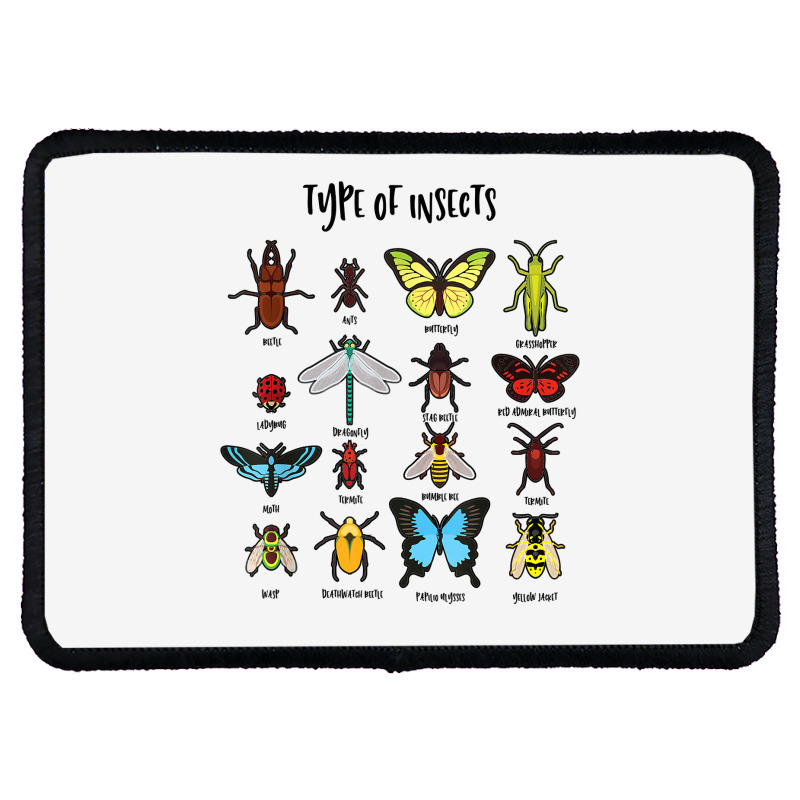 Types Of Insects Study Of Biology Science Bug Identification T Shirt ...